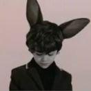 vue 运行项目 报错：To install them, you can run: npm install --save core-js/modules.... - 掘金